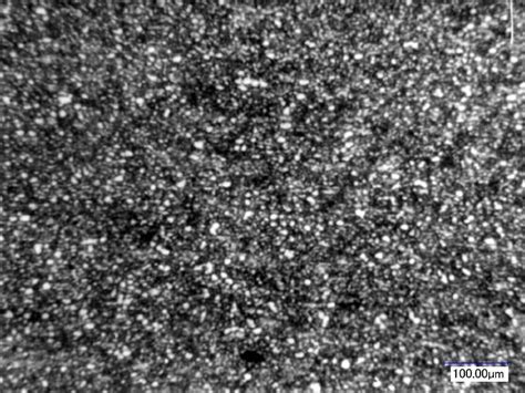 Typical Microstructure Of Carbide Steels After Compression ×400