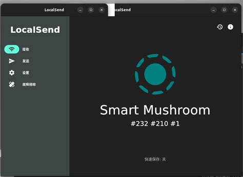 UI Glitches On Ubuntu Linux Issue Localsend Localsend GitHub