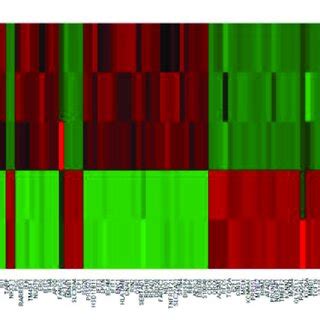 ERG Associated Transcripts In CaP Cells Hierarchical Clustering Of