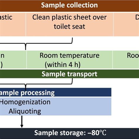 Means Of Fecal Sample Collection Transport Processing And Storage