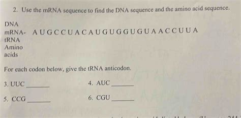Solved 2 Use The Mrna Sequence To Find The Dna Sequence And The Amino