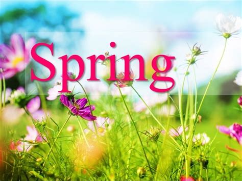 Spring Assembly Teaching Resources