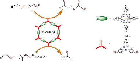 412 A Copper Decorated Porphyrin Based Porous Organic Polymer Evaluation In The Oxidation Of