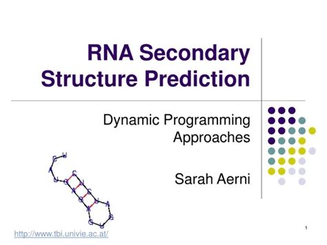 Ppt Rna Secondary Structure Prediction Powerpoint Presentation Free Download Id 9670380