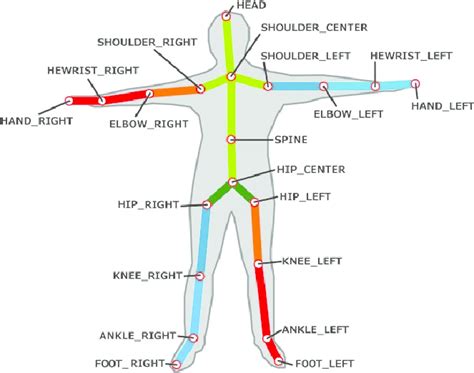 Body Joint Positions Download Scientific Diagram