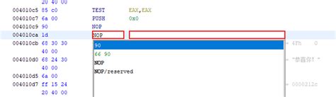 Ghidra 安装与使用指南 Blog
