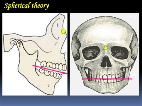 Occlusion In Complete Denture Basic Concept Pdf