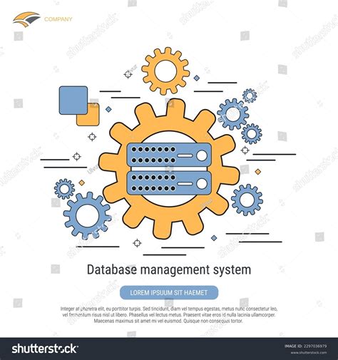 Database Management System Data Center Web Stock Vector Royalty Free Shutterstock