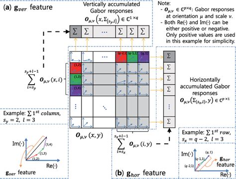 Figure 1 From An Analytic Gabor Feedforward Network For Single Sample And Pose Invariant Face
