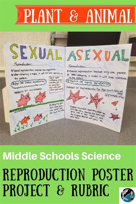 Middle School Science Plant And Animal Reproduction Poster Project With