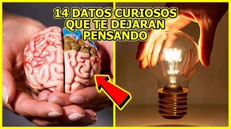 14 Datos Curiosos Que Te Dejaran Pensando Youtube