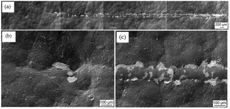Additively Manufactured 316l Stainless Steel Subjected To A Duplex Peening Pvd Coating Treatment