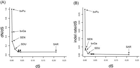 A Association Between DN DS Y Axis And DS X Axis DS Represents Download Scientific