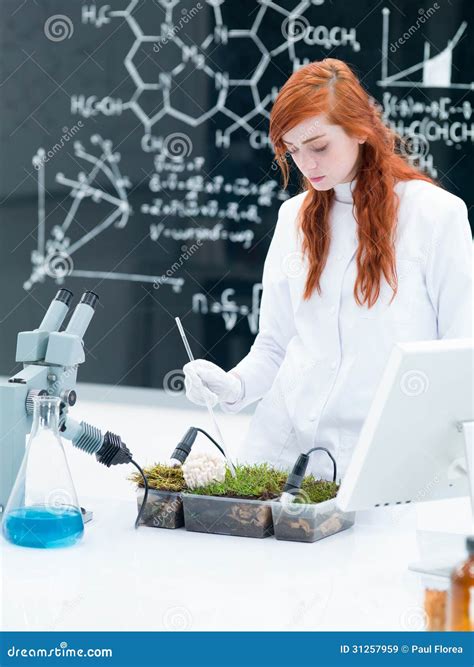 Babe Grass Experiment Stock Image Image Of Ecology