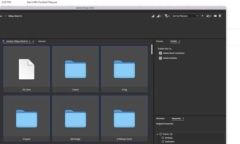 Solved Bridge Search Broken Adobe Product Community 9979739