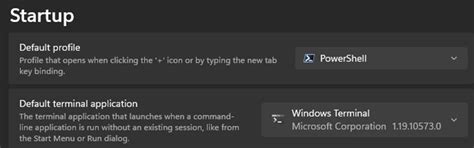 oh my posh powershell terminal setup dev community