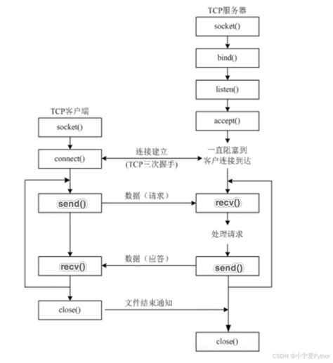 Python从入门到精通4：计算机网络及tcp网络应用程序开发入门指南pc网络通信应用软件开发教程 Csdn博客