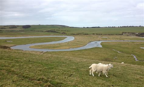River Cuckmere Sea To Source In Which I