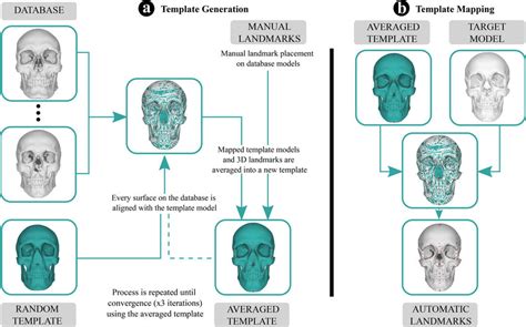 Workflow Of The Automatic Landmark Initialization Using The Meshmonk