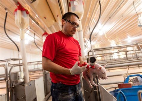 Two Doses Are Better Than One Research Shows Value Lies In Iron Jimmy Heisel