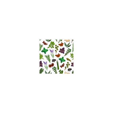 Herbs And Spices Seamless Pattern 11775822 Vector Art At Vecteezy