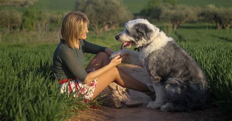 Mydreams Oso Ya Tiene Familia