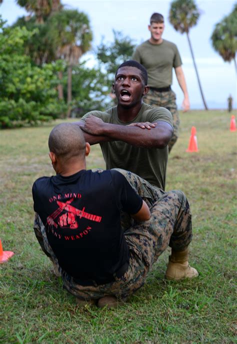 Mcmap A Lifestyle Not A Hobby Macdill Air Force Base Display