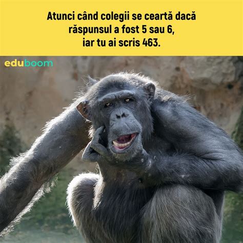 Eduboom Lecții Video Eduboomro • Threads Say More
