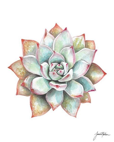 Janice Nelson Designs — Succulent Print Cactus Art Succulent