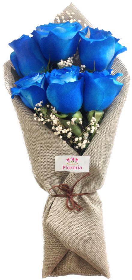 Download Ramo 6 Rosas F6 Ramo De Flores Azules Png Image With No
