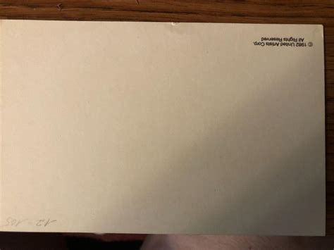 Vintage Horse Post Card Cass Ole The Black Stallion Walter Farley Movie