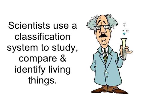 Why Do We Need To Classify Living Things At Argentina Fields Blog