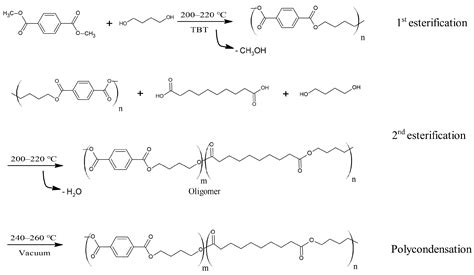 Solid State Polymerization Of Biodegradable Polybutylene Sebacate Co