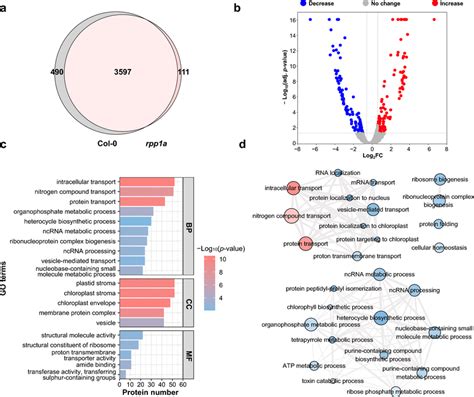 Comparison Of Germinating Seed Proteome Between The Wild Type Col 0 And