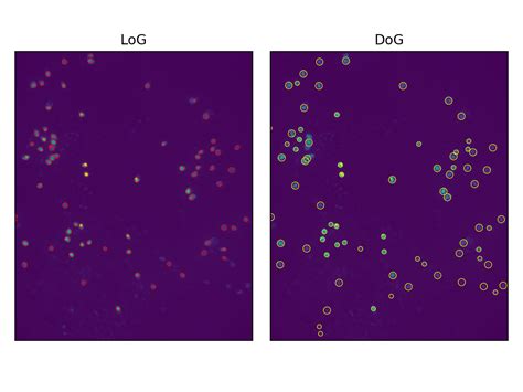 Tracking Cell Movement With Scikit Image And Scipy