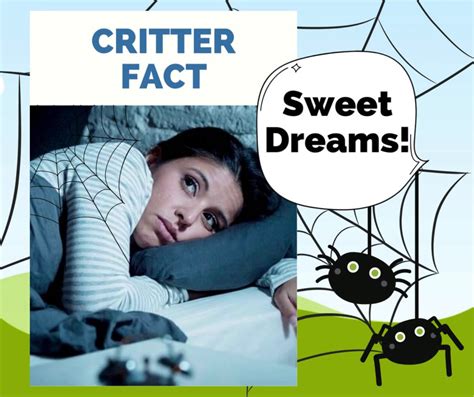 Edmonton Exterminators Ltd Home Facebook