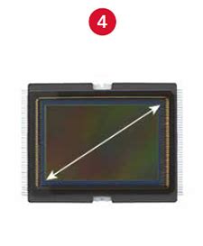 How To Calculate Microscope On Screen Digital Magnification