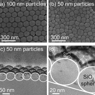 SEM Images Of The A Nm And B Nm Particle Arrays Which Download Scientific