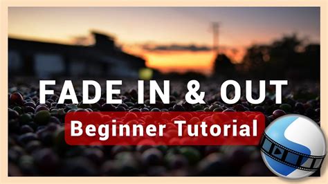 Fade In And Fade Out Effect Openshot Tutorial Youtube