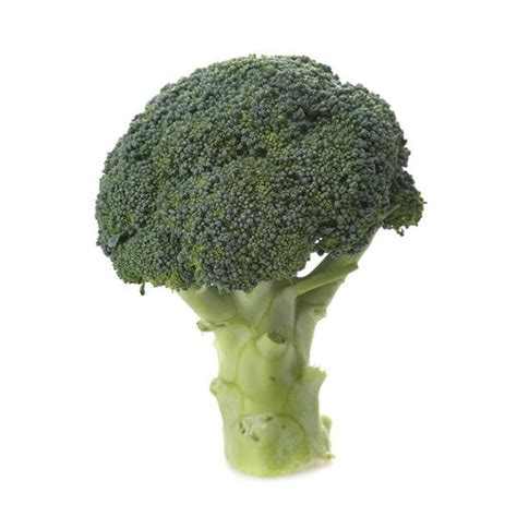 햇브로콜리1입봉 Ssgcom