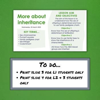 More About Inheritance GCSE By CMGs Science Lessons TPT