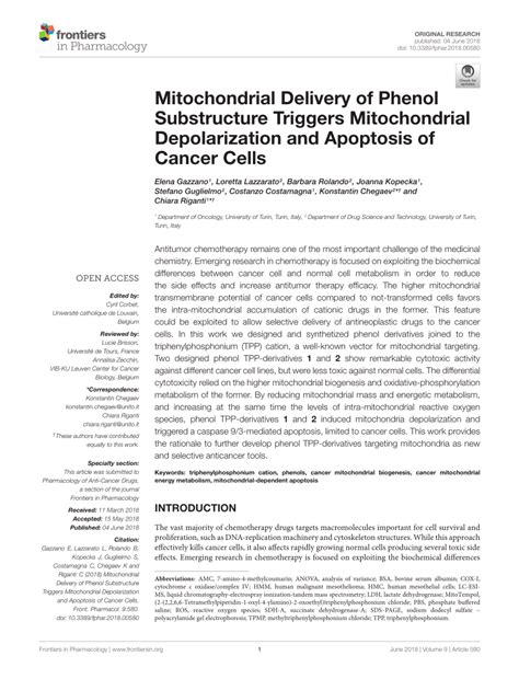 Pdf Mitochondrial Delivery Of Phenol Substructure Triggers