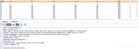 命令执行绕过总结 Command Execution Bypass 🔰雨苁ℒ🔰