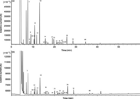 Gas Chromatogram Of Light Hydrocarbon Of Natural Gases In Alaxin Gas