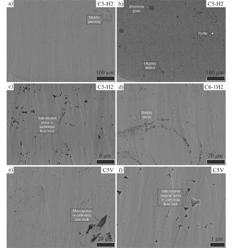 Typical Microstructures Identified In The Investigated Limestone Download Scientific Diagram