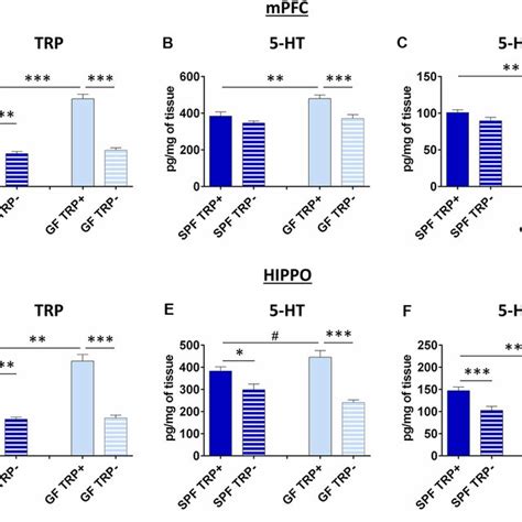 Effects Of Atd On Tryptophan Serotonin And Its Metabolite In The Brain