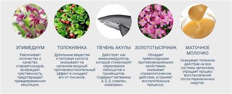 Урелайн препарат от простатита и для потенции развод или правда отзывы