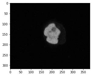 FIXED Why Matplotlib Imshow Shows Different Images By Changing The Order Of The Array
