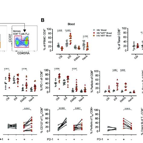 Hiv Infection Is Associated With Memory Cd8 T Cell Expansion In