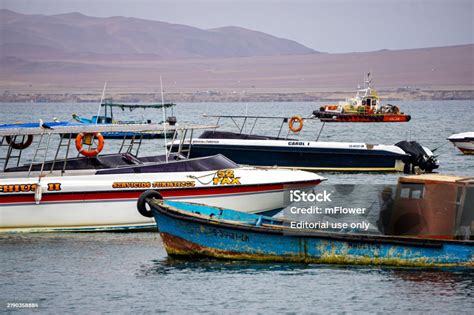 평화로운 바다와 자연 전망으로 둘러싸인 페루 파라카스 해안선 근처의 작은 어선 갈매기에 대한 스톡 사진 및 기타 이미지 갈매기 경관 관광 Istock